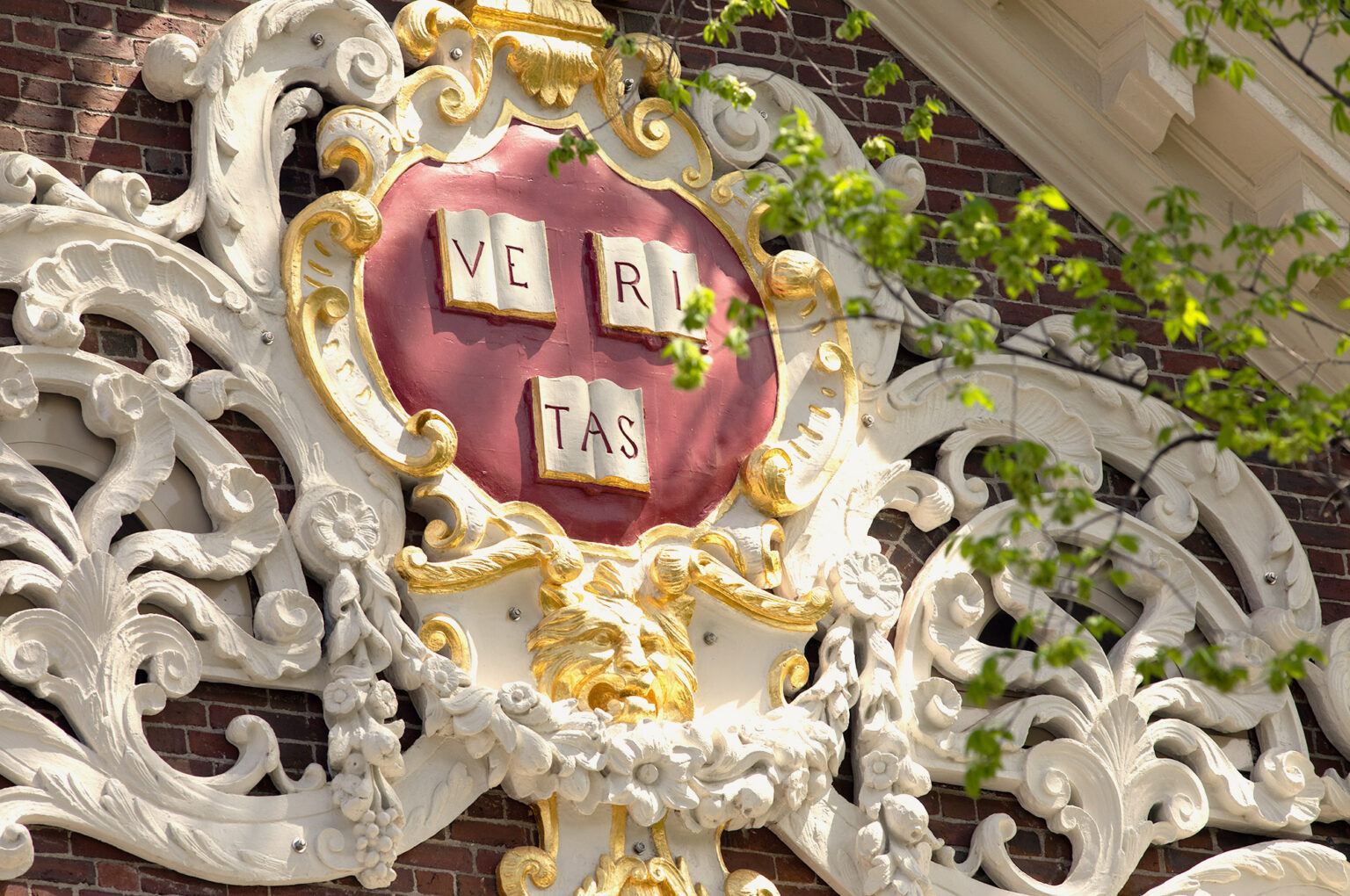 Harvard Division of Continuing Education